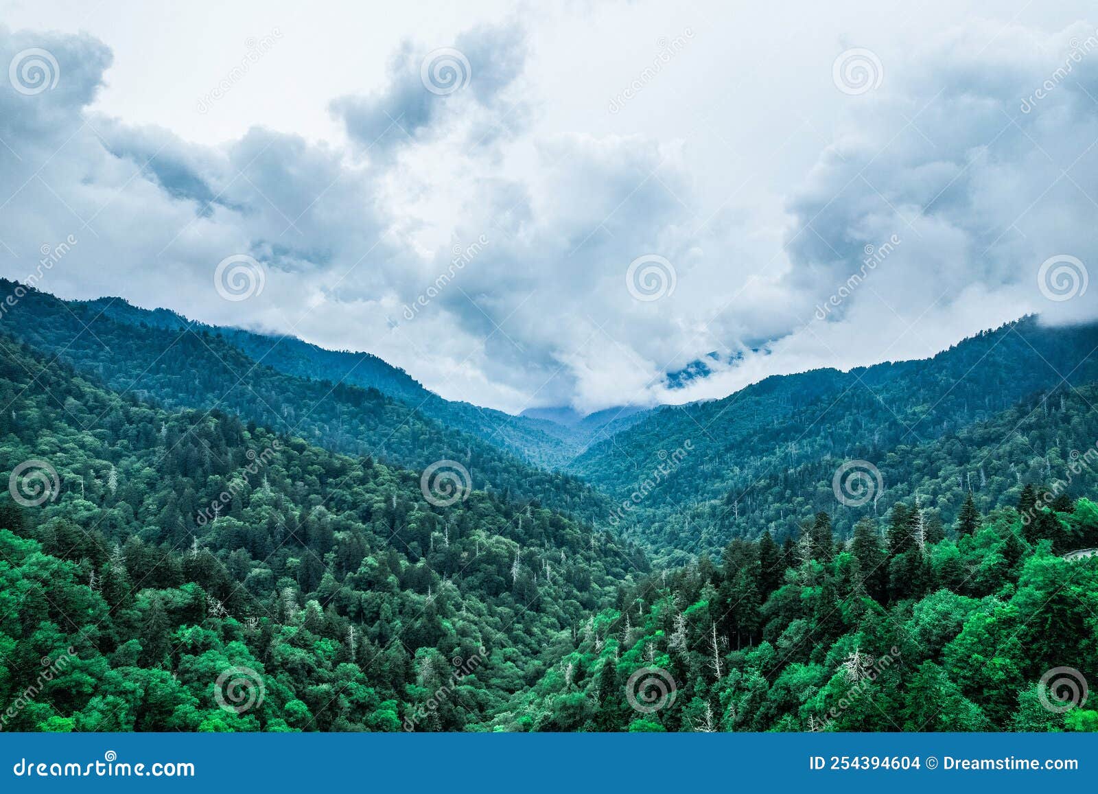 Rolling mountains 26 stock photo. Image of nature, hill - 254394604