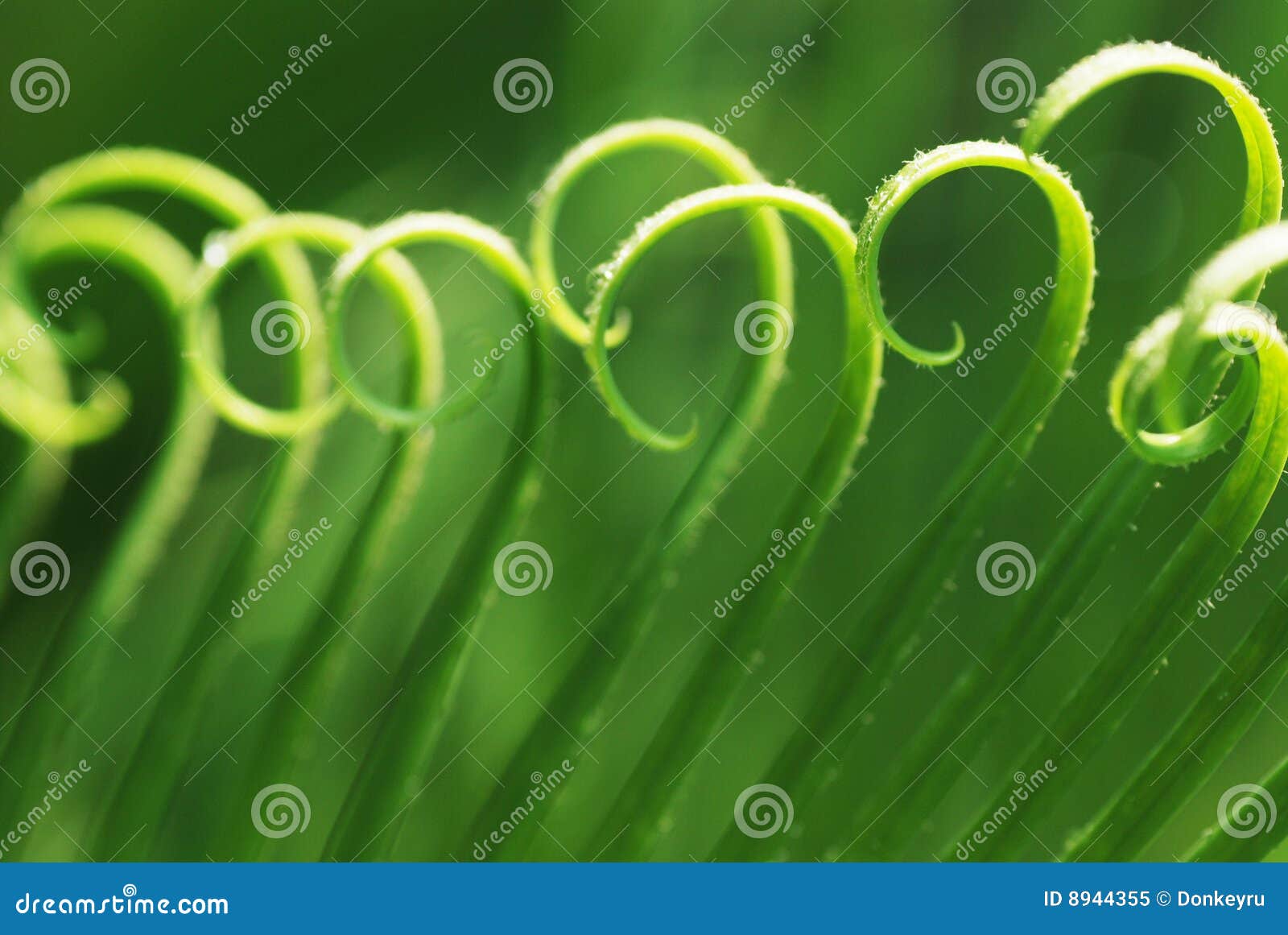 The rolling new leaves stock image. Image of silence, lines - 8944355