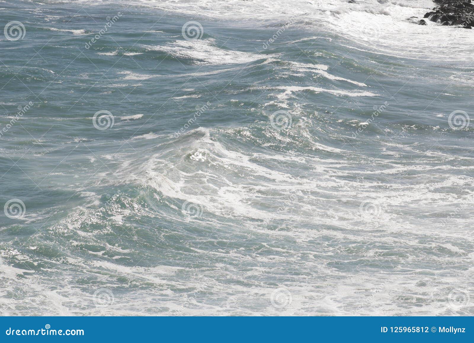 Rolling Ocean Waves stock photo. Image of rolling, outdoor - 125965812
