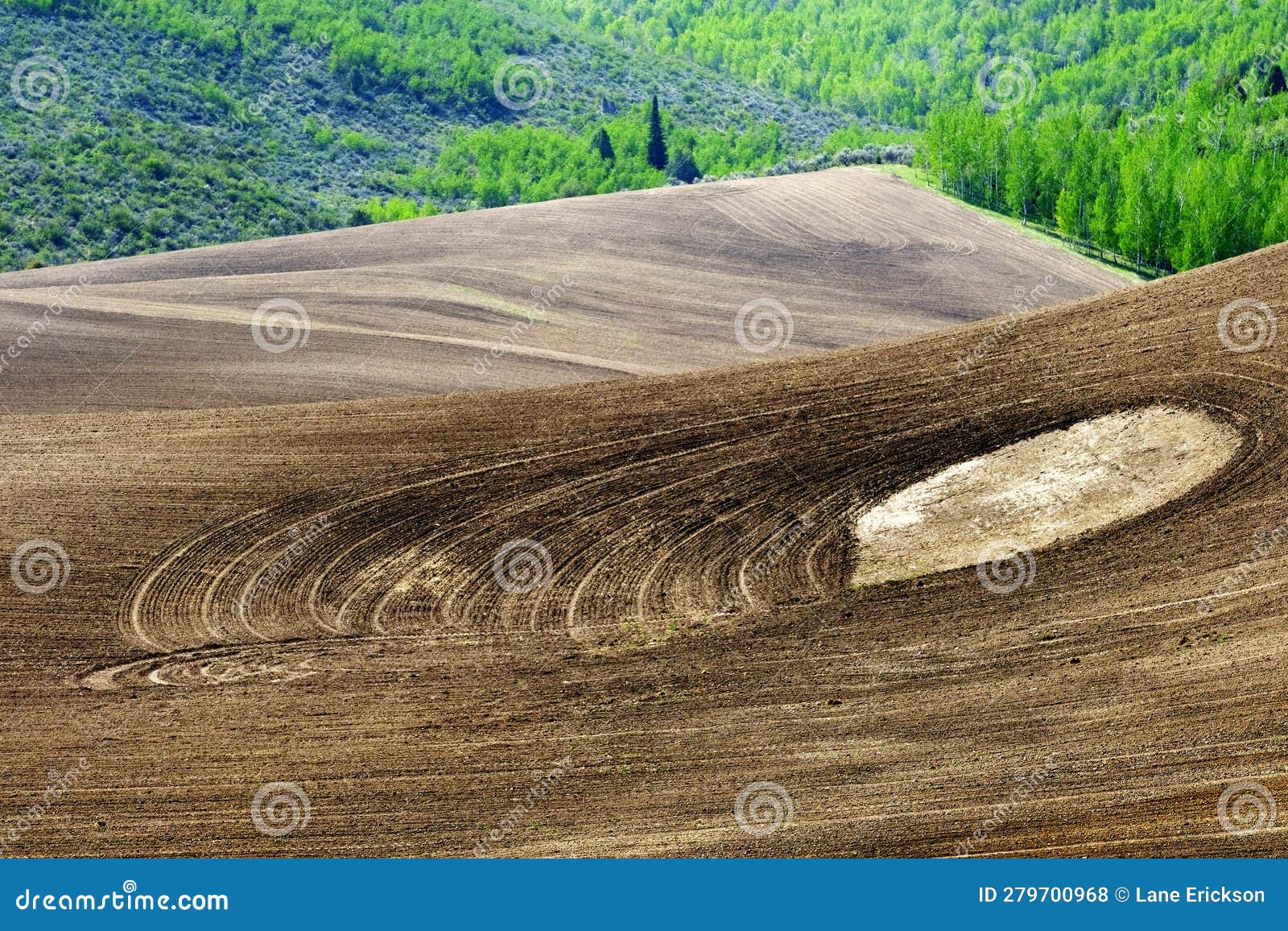Rolling Plowed Field on Farm with Furrow Marks and Rows Texture Stock ...