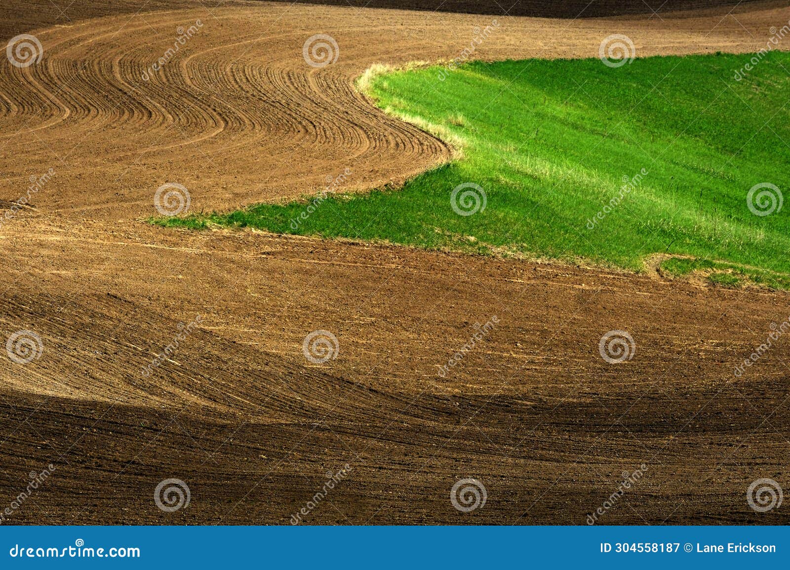 Rolling Plowed Field on Farm with Furrow Marks and Rows Texture Stock ...