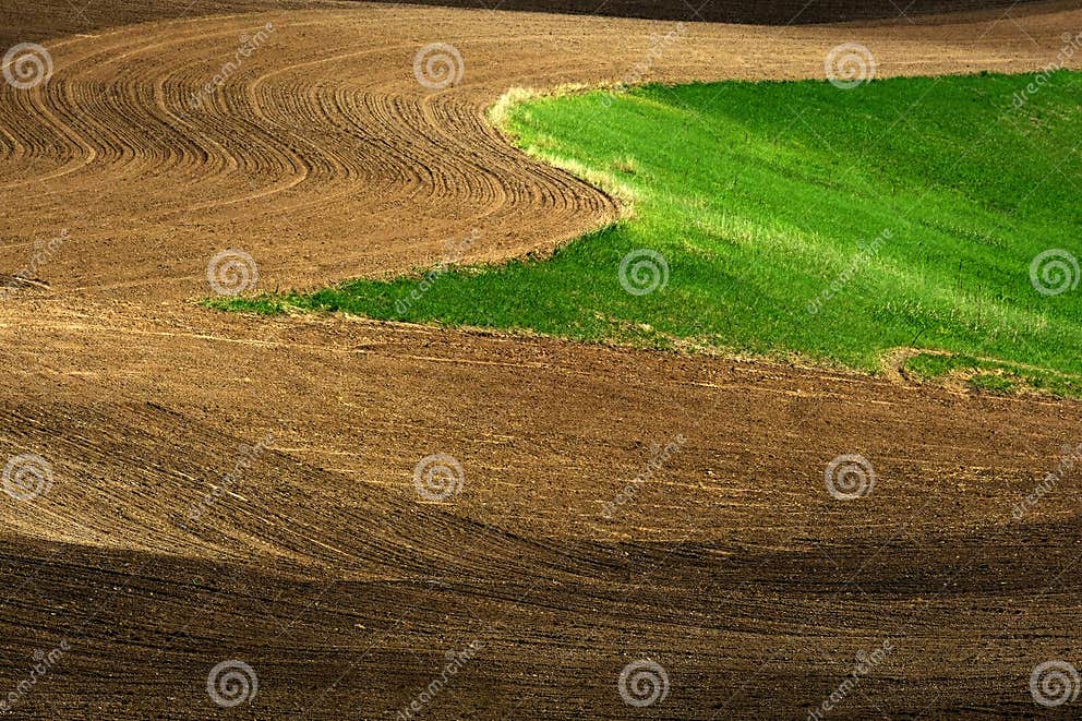 Rolling Plowed Field on Farm with Furrow Marks and Rows Texture Stock ...