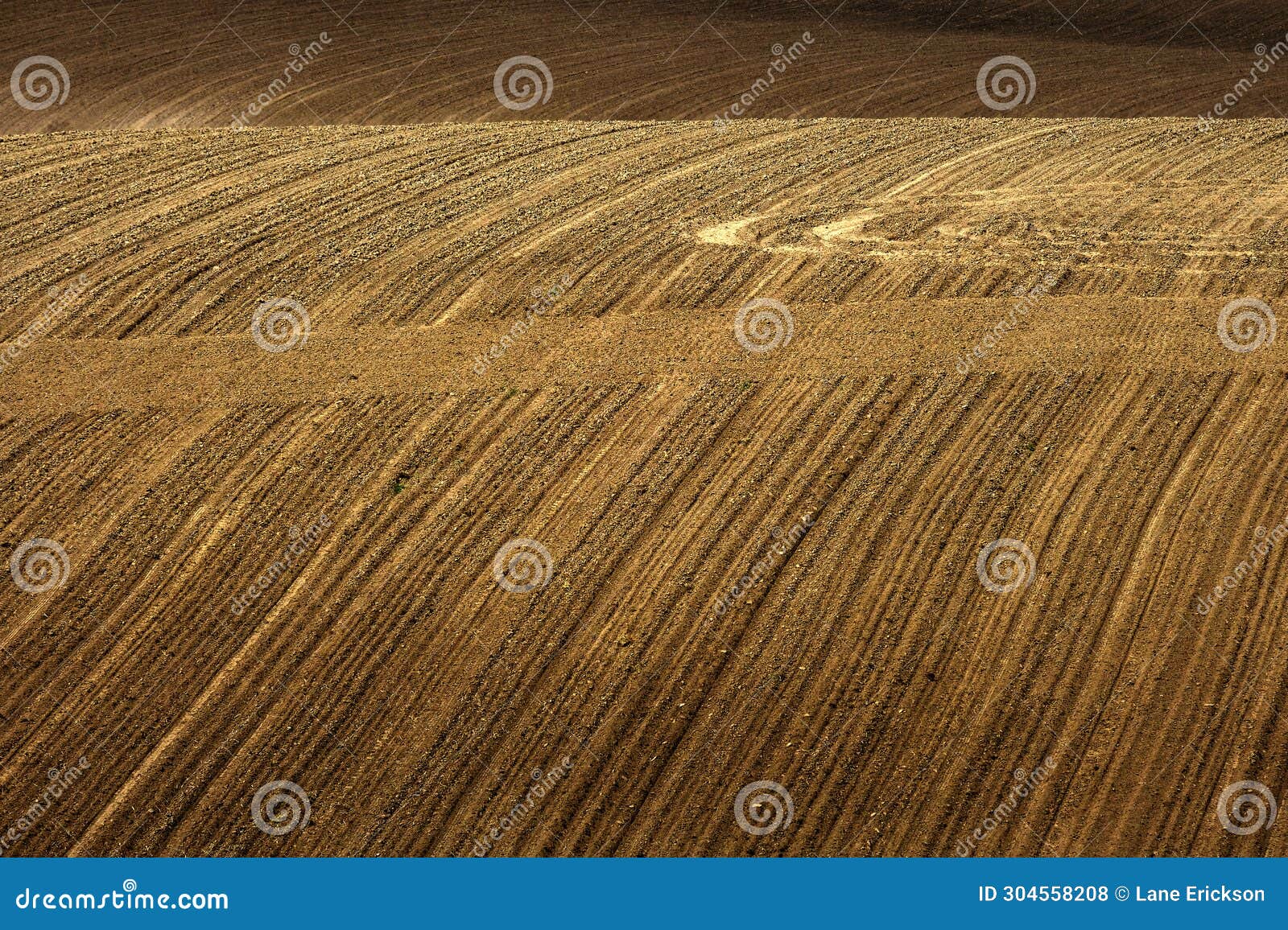 Rolling Plowed Field on Farm with Furrow Marks and Rows Texture Stock ...