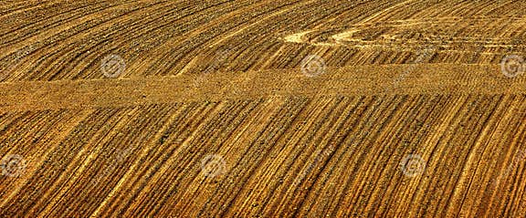 Rolling Plowed Field on Farm with Furrow Marks and Rows Texture Stock ...