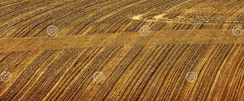 Rolling Plowed Field on Farm with Furrow Marks and Rows Texture Stock ...