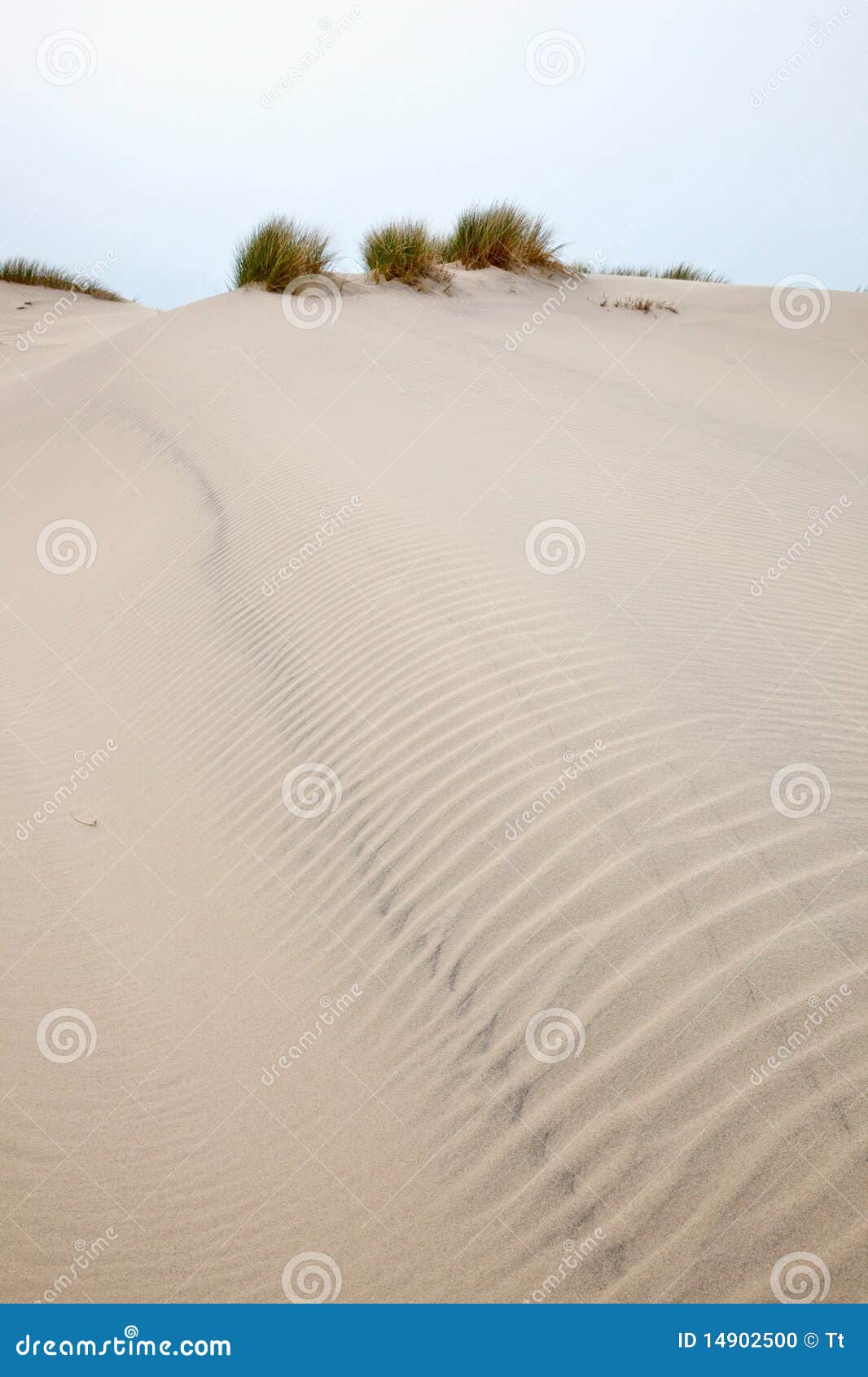 Rolling sand dune stock photo. Image of brown, dunes - 14902500