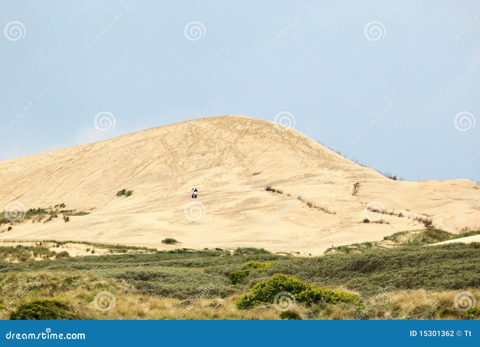 Rolling sand dune stock photo. Image of land, scene, landscape - 15301362