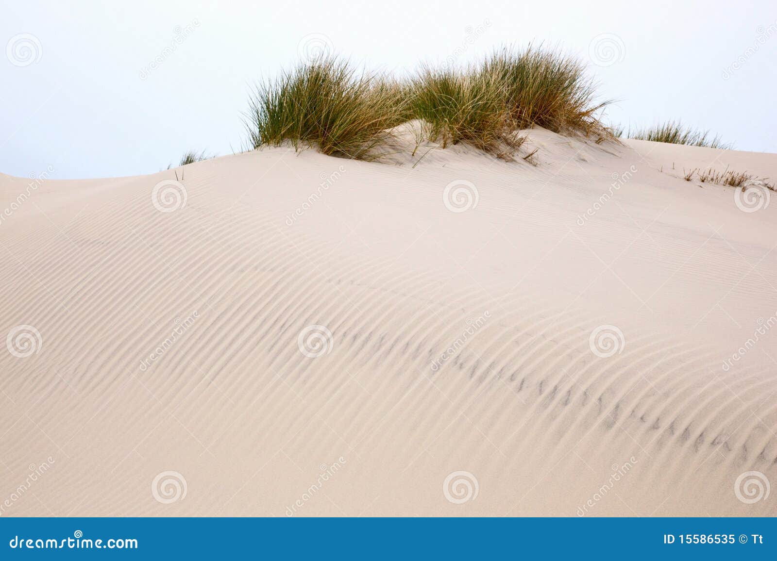 Rolling sand dune stock image. Image of climate, sandy - 15586535