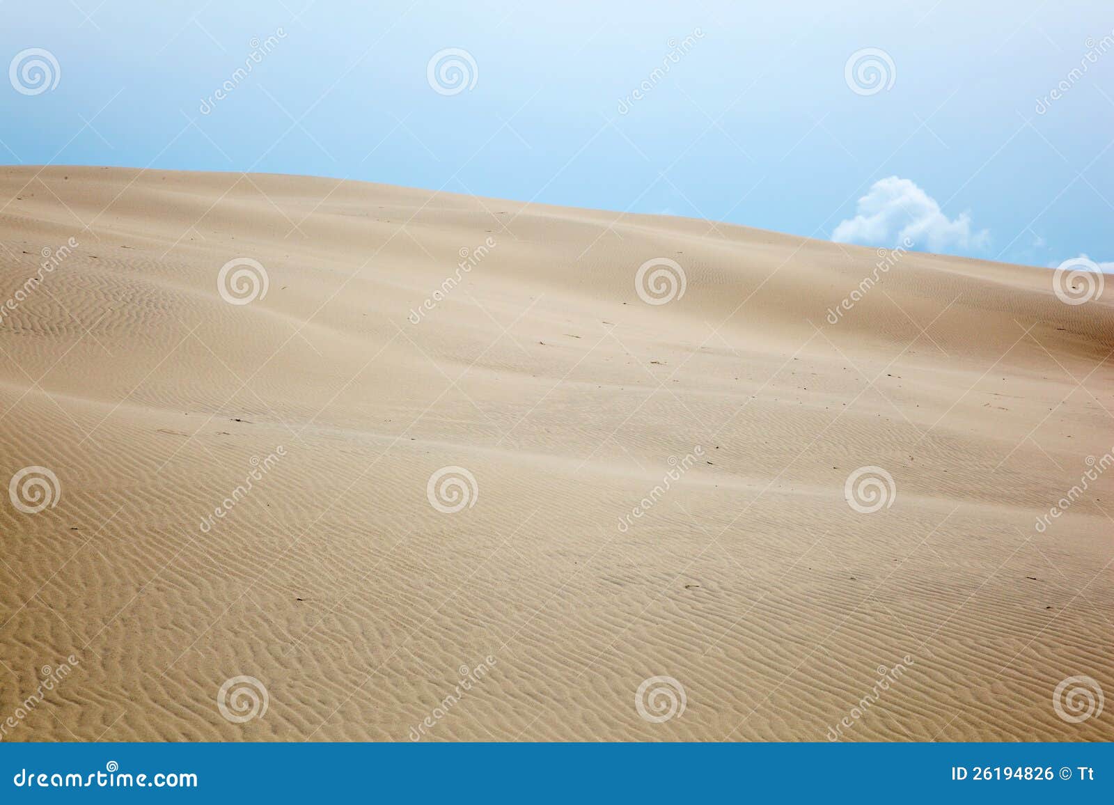Rolling sand dune stock photo. Image of nonurban, calmness - 26194826