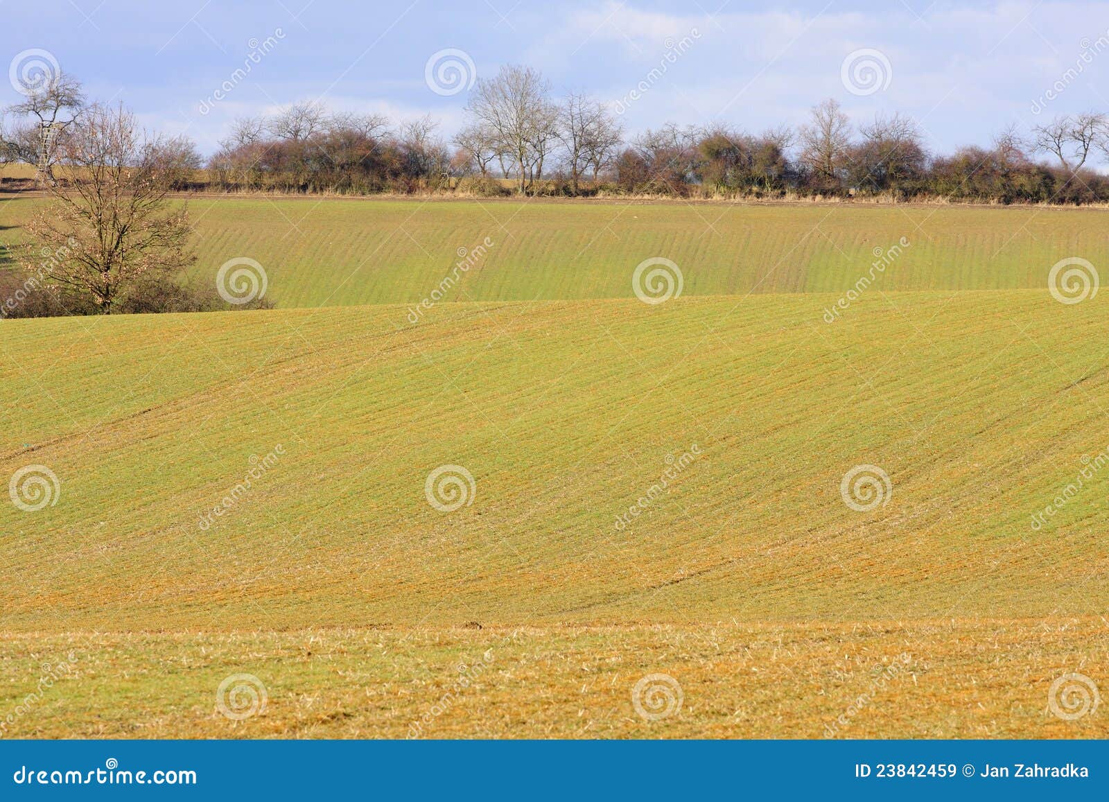 Rolling seeded field stock image. Image of agriculture - 23842459