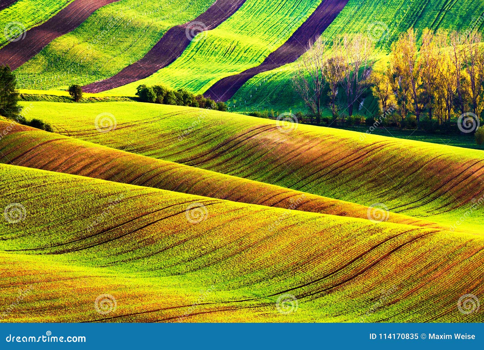 Rolling Spring Fields. Arable Lands in Czech Moravia Stock Image ...