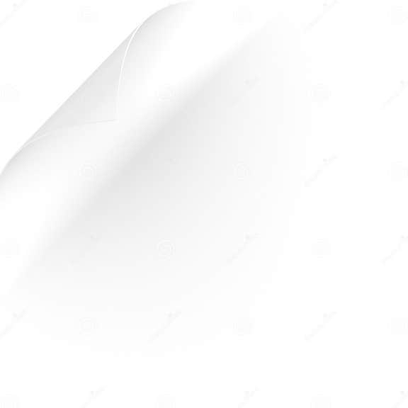 Rollo del Libro Blanco stock de ilustración. Ilustración de pedazo ...