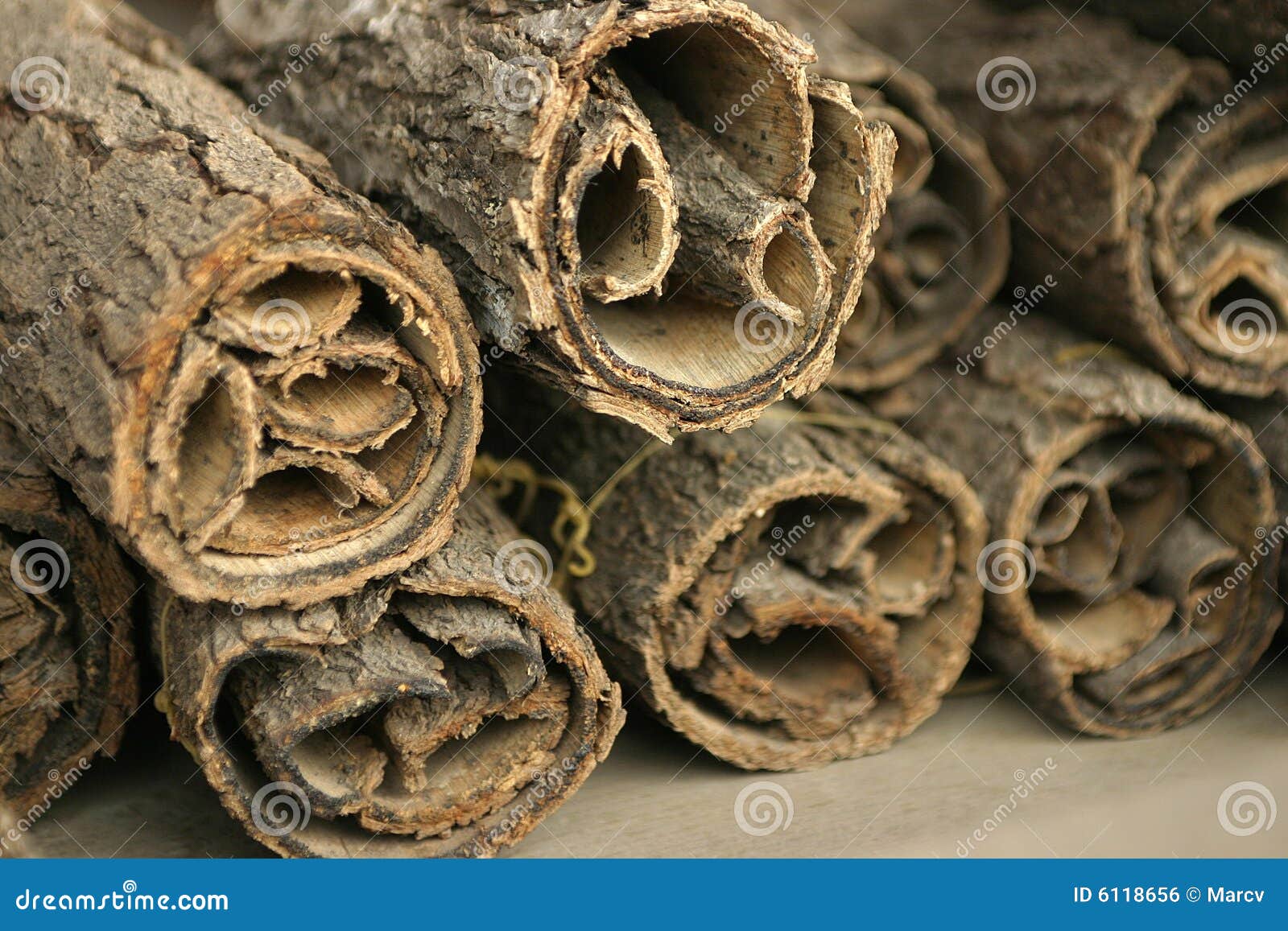 Rolls of bark stock photo. Image of wood, decoration, medicinal - 6118656