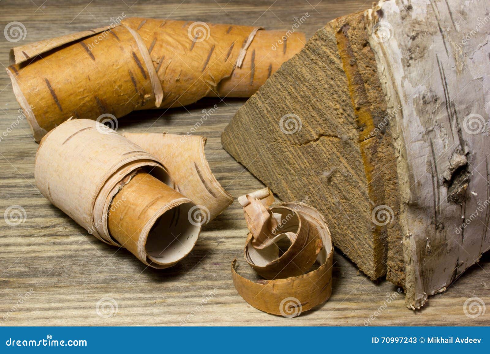 Rolls Of Birch Bark Background Texture. Rolled Bark Details Of Birch ...