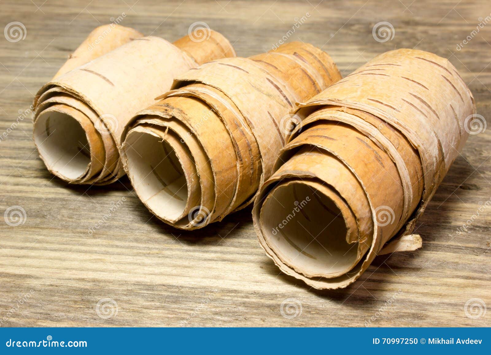 Rolls Of Birch Bark Background Texture. Rolled Bark Details Of Birch ...