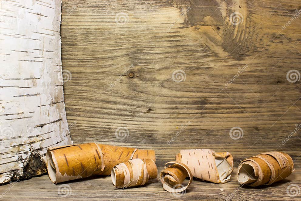 Rolls of birch Bark stock image. Image of bast, foretime - 70997727