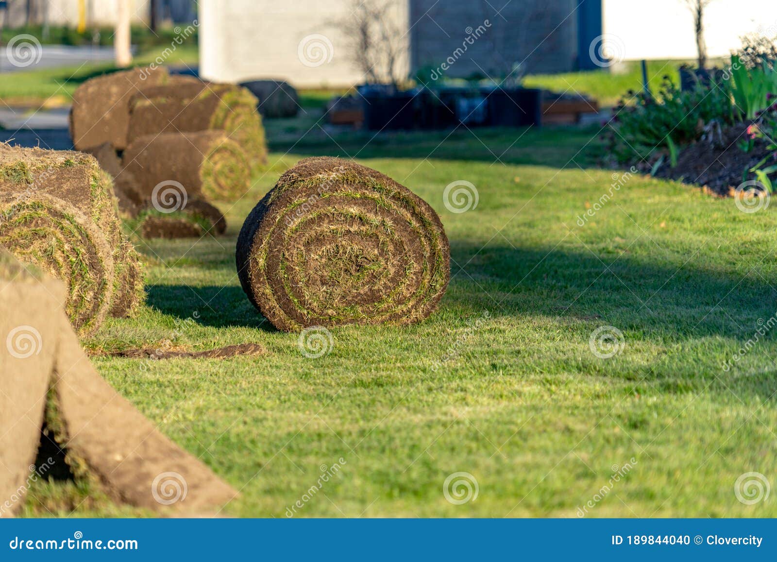 Rolls of Fresh Sod Ready for Planting Stock Photo - Image of soil ...