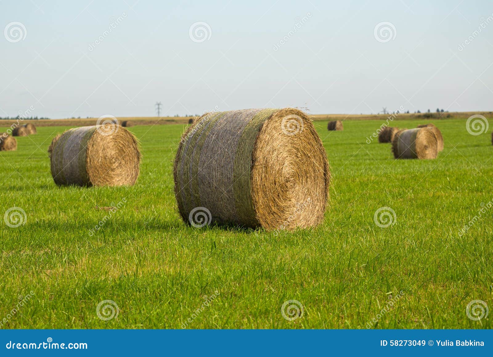 Rolls of hay in the field stock image. Image of haystack - 58273049