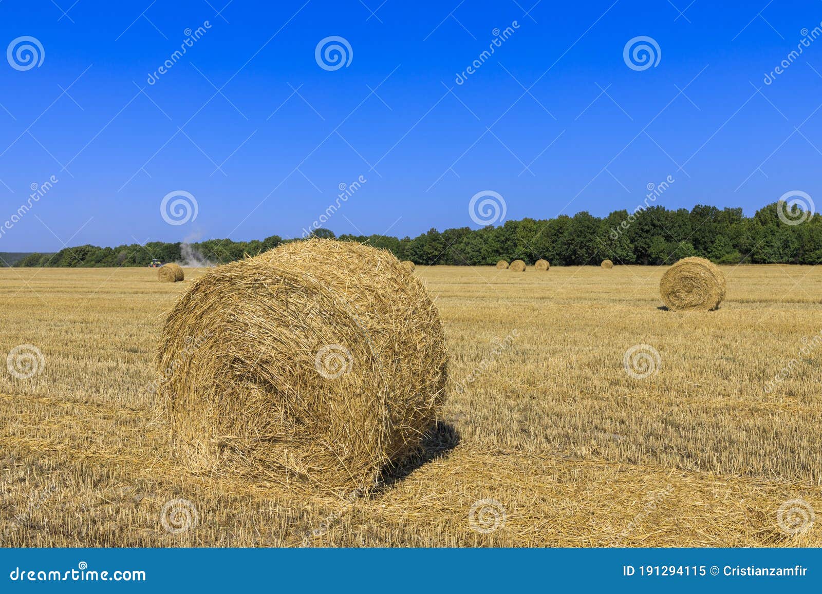 Rolls of Haystacks on the Field As Agriculture Stock Image - Image of ...