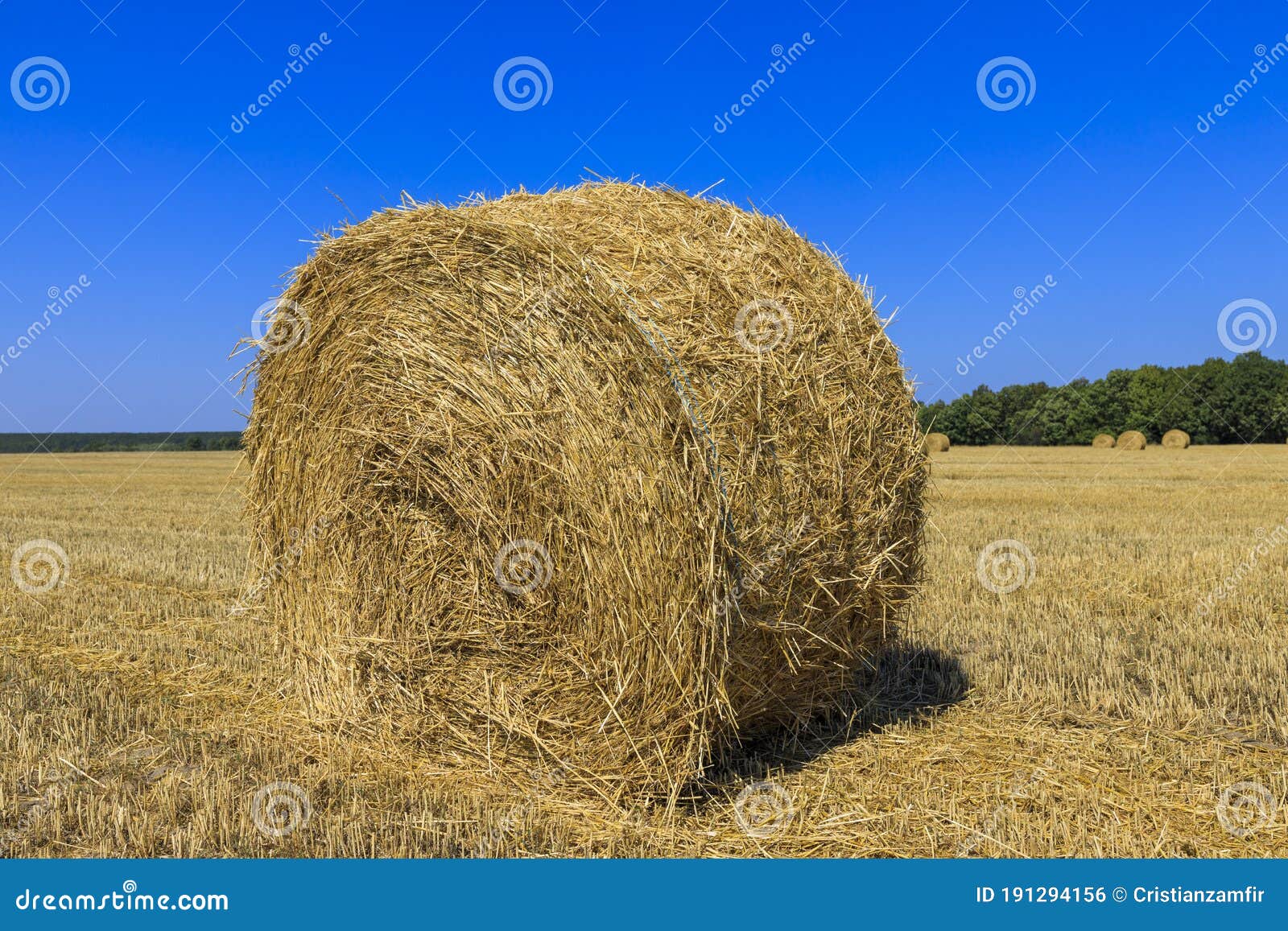 Rolls of Haystacks on the Field As Agriculture Stock Photo - Image of ...