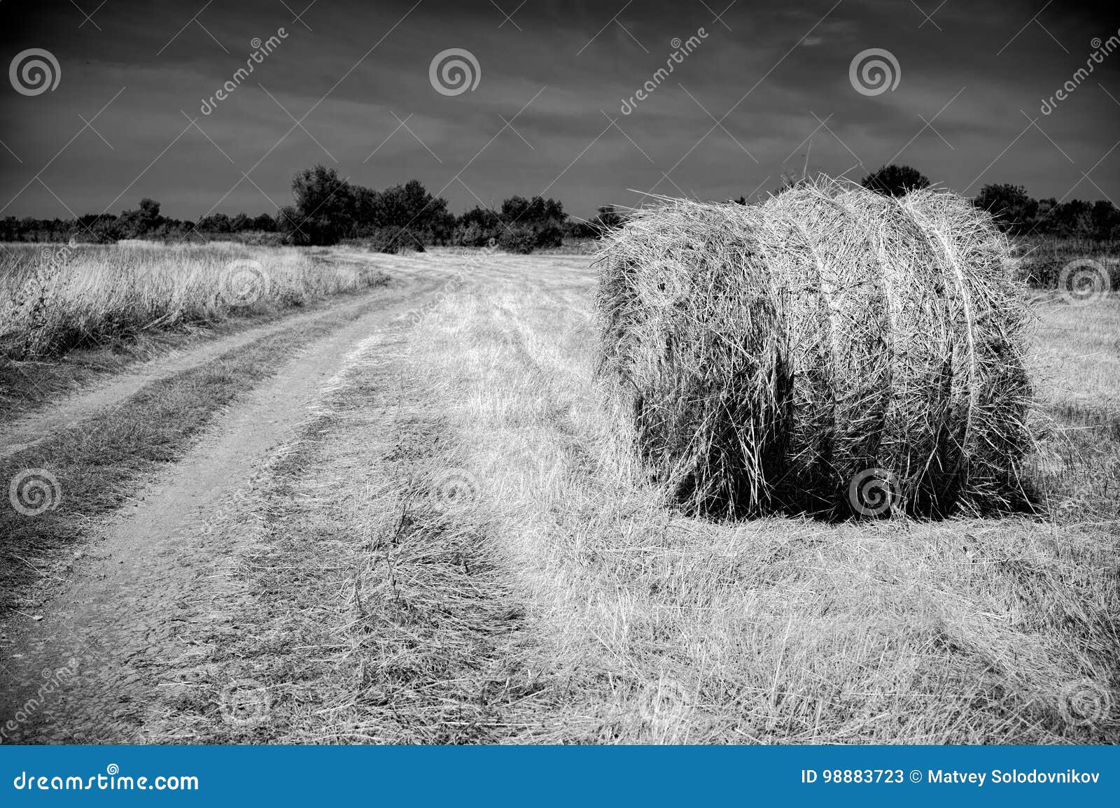 Rolls of Haystacks on the Field. Summer Farm Scenery with Haystack ...