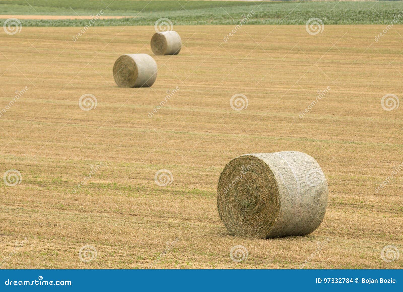 Rolls of Haystacks in the Fields Stock Photo - Image of barn, haystacks ...