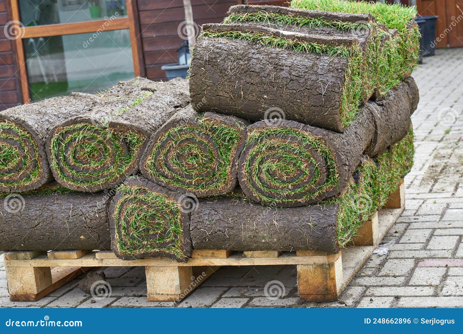 Rolls of Lawn Grassrolls of Lawn Grass Stock Photo - Image of gardening ...