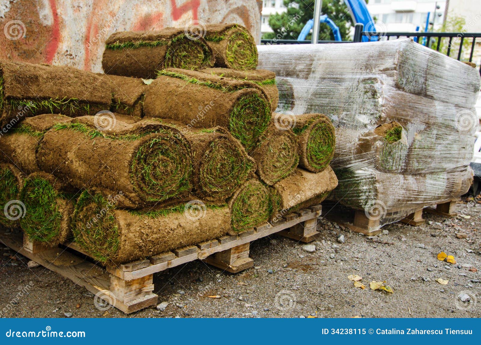 Rolls of lawn turf stock image. Image of pack, horticulture - 34238115