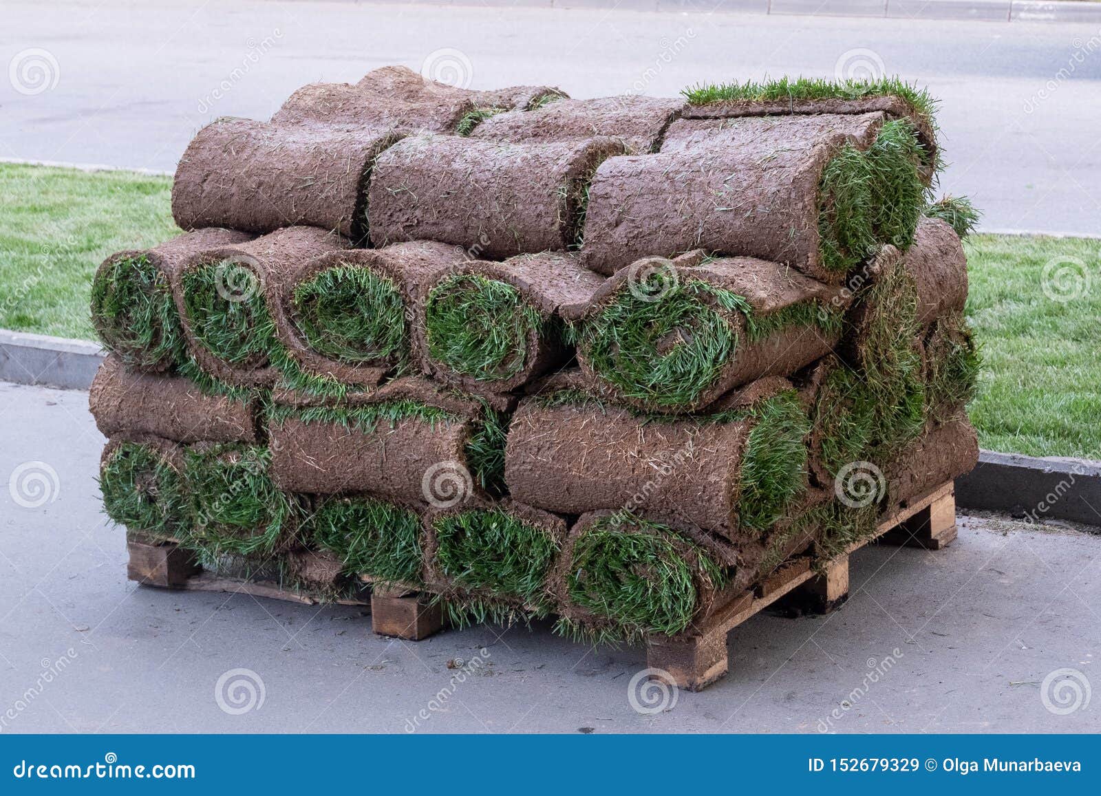 Rolls of Natural Lawn with the Ground Stacked on Pallets in a Stack ...