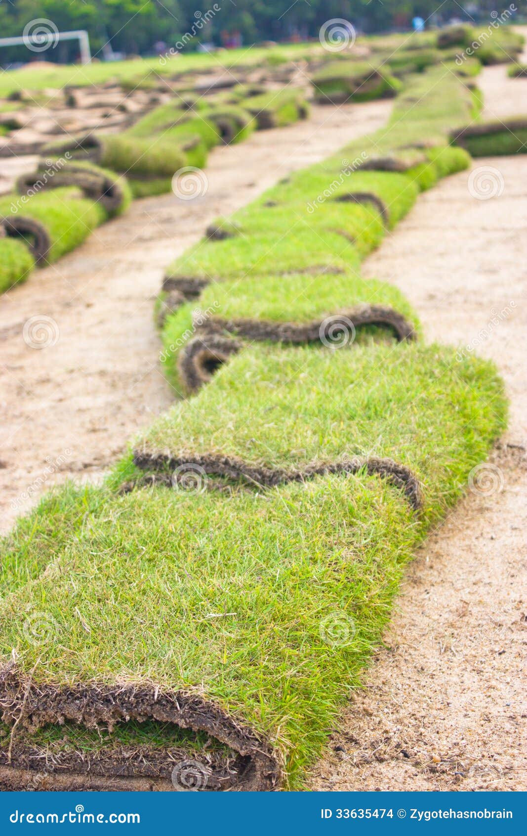 Rolls of new lawn. stock photo. Image of improvement - 33635474