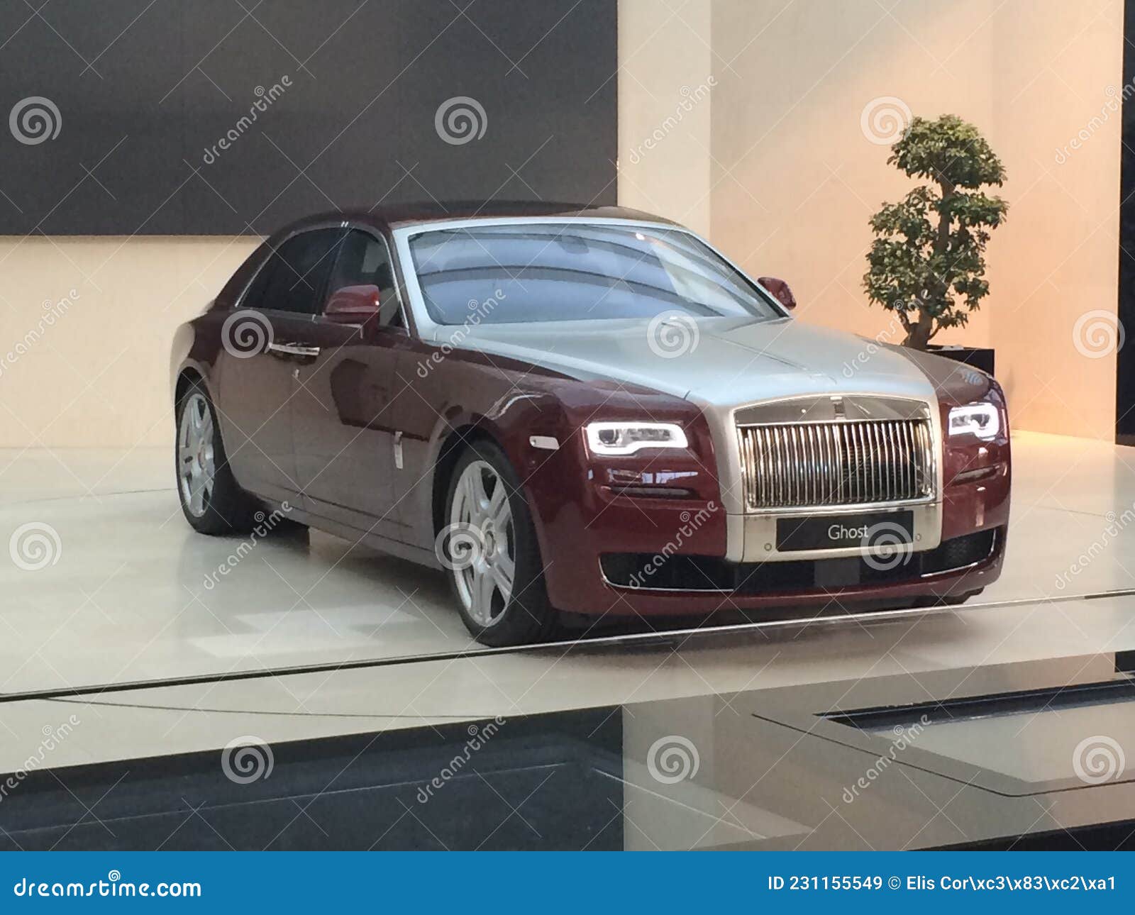 Rolls-Royce Ghost: Front View, Bicolor. on Display on Welt Editorial ...