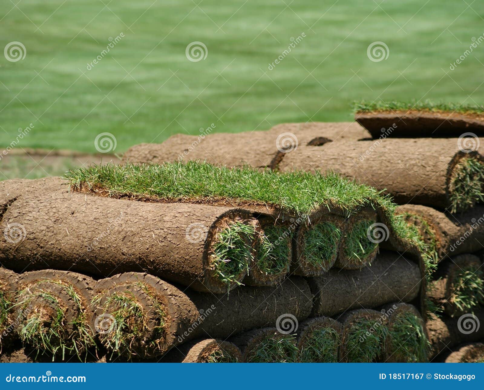 Rolls of Sod on a Turf Farm Stock Image - Image of rolls, turf: 18517167