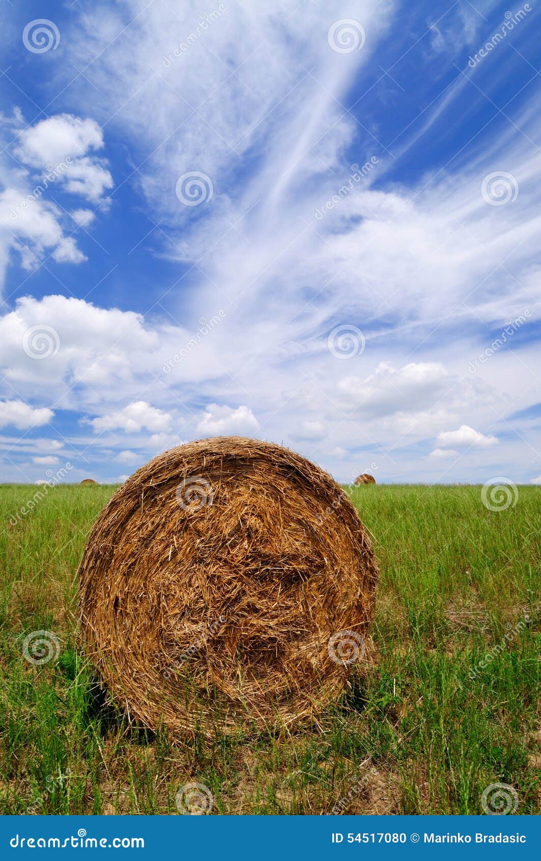 Rolls of Straw on the Field Stock Photo - Image of round, farming: 54517080