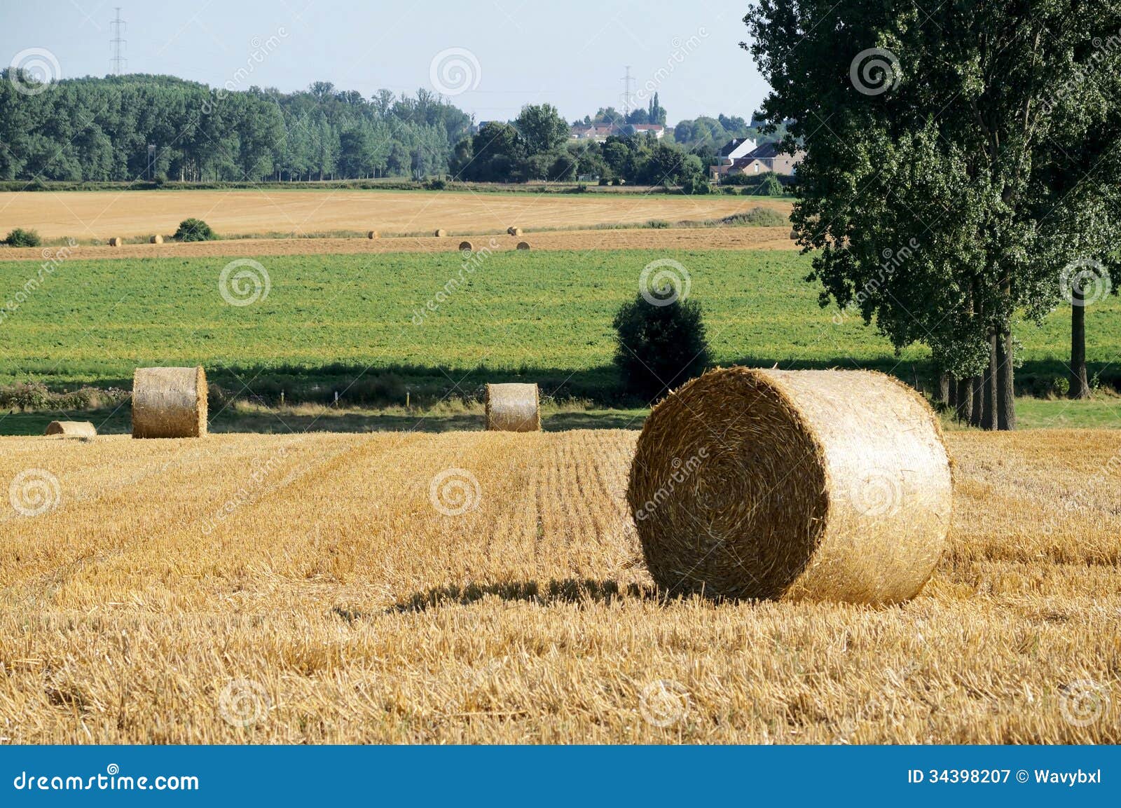 Rolls of Straw in the Fields Stock Image - Image of field, straw: 34398207
