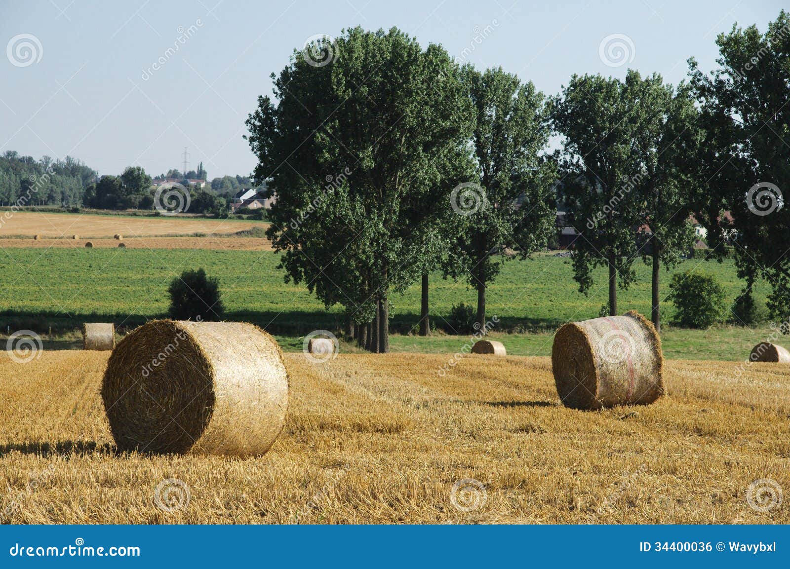 Rolls of Straw in the Fields Stock Photo - Image of rural, bale: 34400036