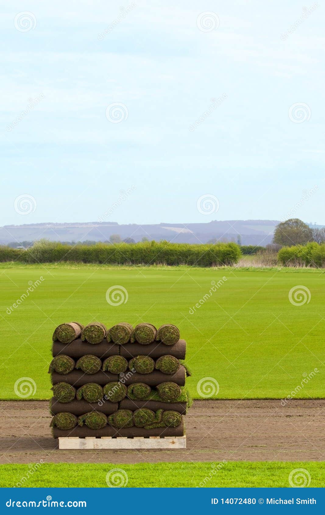 Rolls of turf stock photo. Image of retail, shapes, gardening - 14072480
