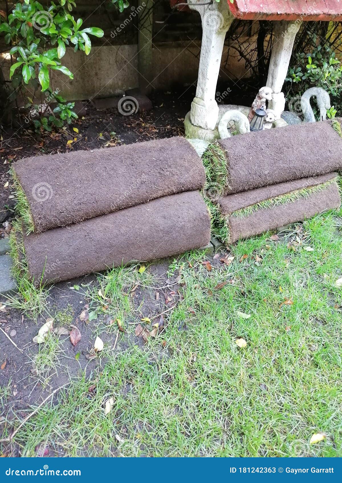 Rolls of turf stock image. Image of rolls, grass, laying - 181242363