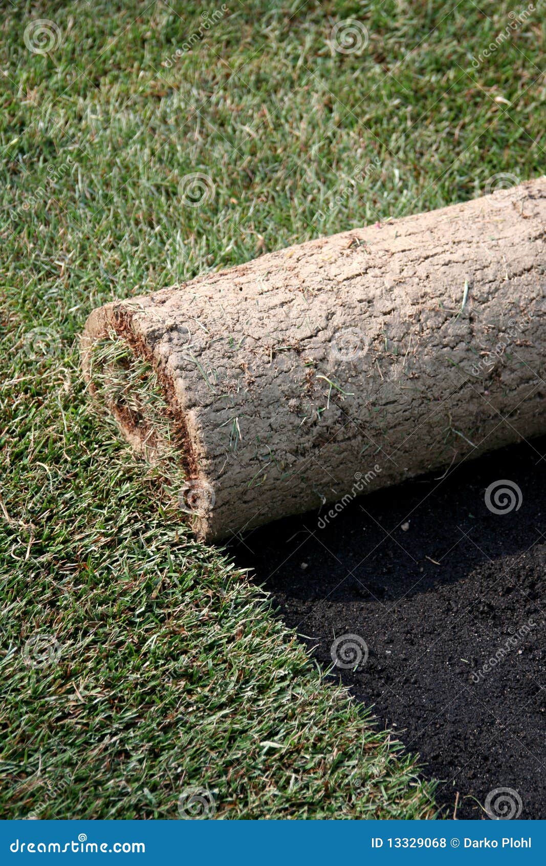 ROLLS of TURF - LAWN stock photo. Image of putting, restoration - 13329068