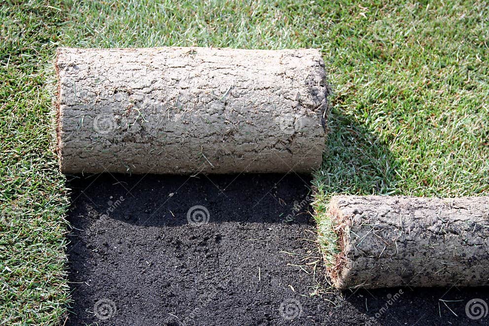 ROLLS of TURF - LAWN stock image. Image of gardening - 13329109