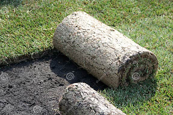 ROLLS of TURF - LAWN stock image. Image of place, ecology - 13329197