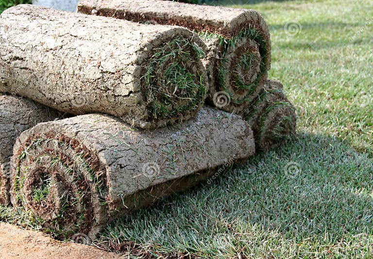 ROLLS of TURF - LAWN stock image. Image of border, gardening - 13329223