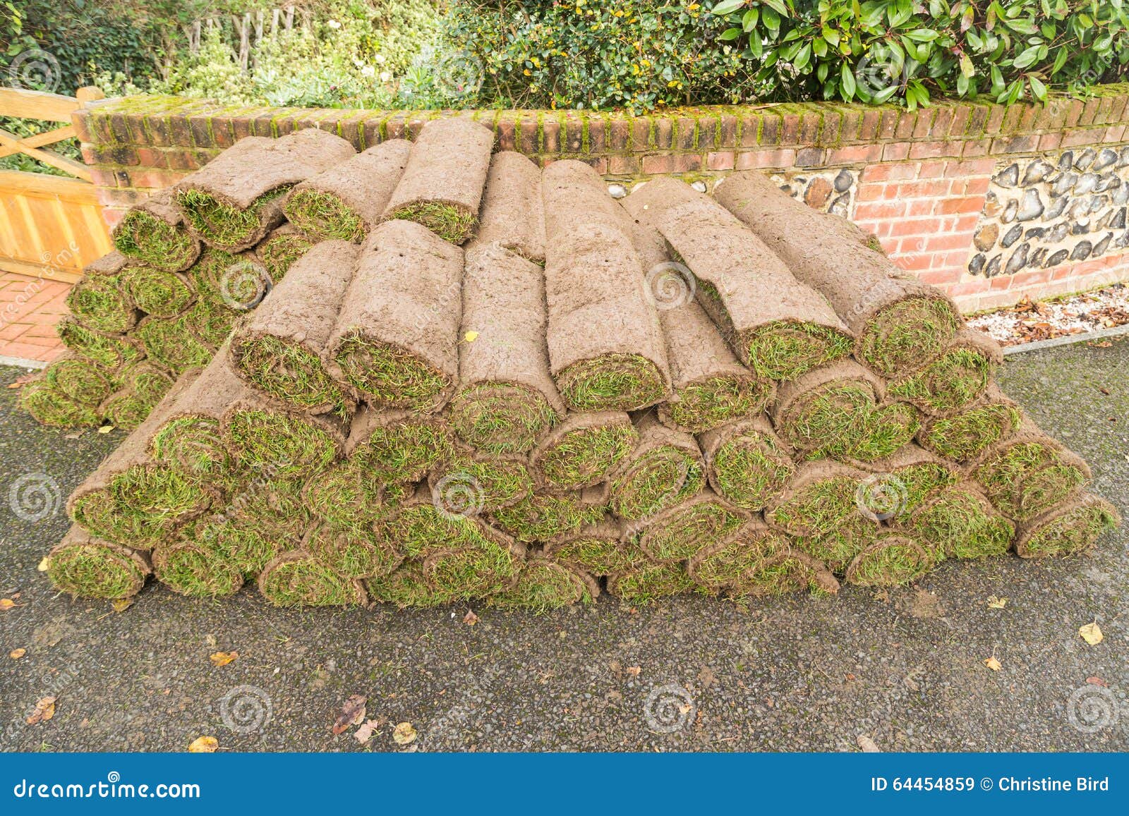 Rolls of turf stock image. Image of soil, lawn, gardening - 64454859