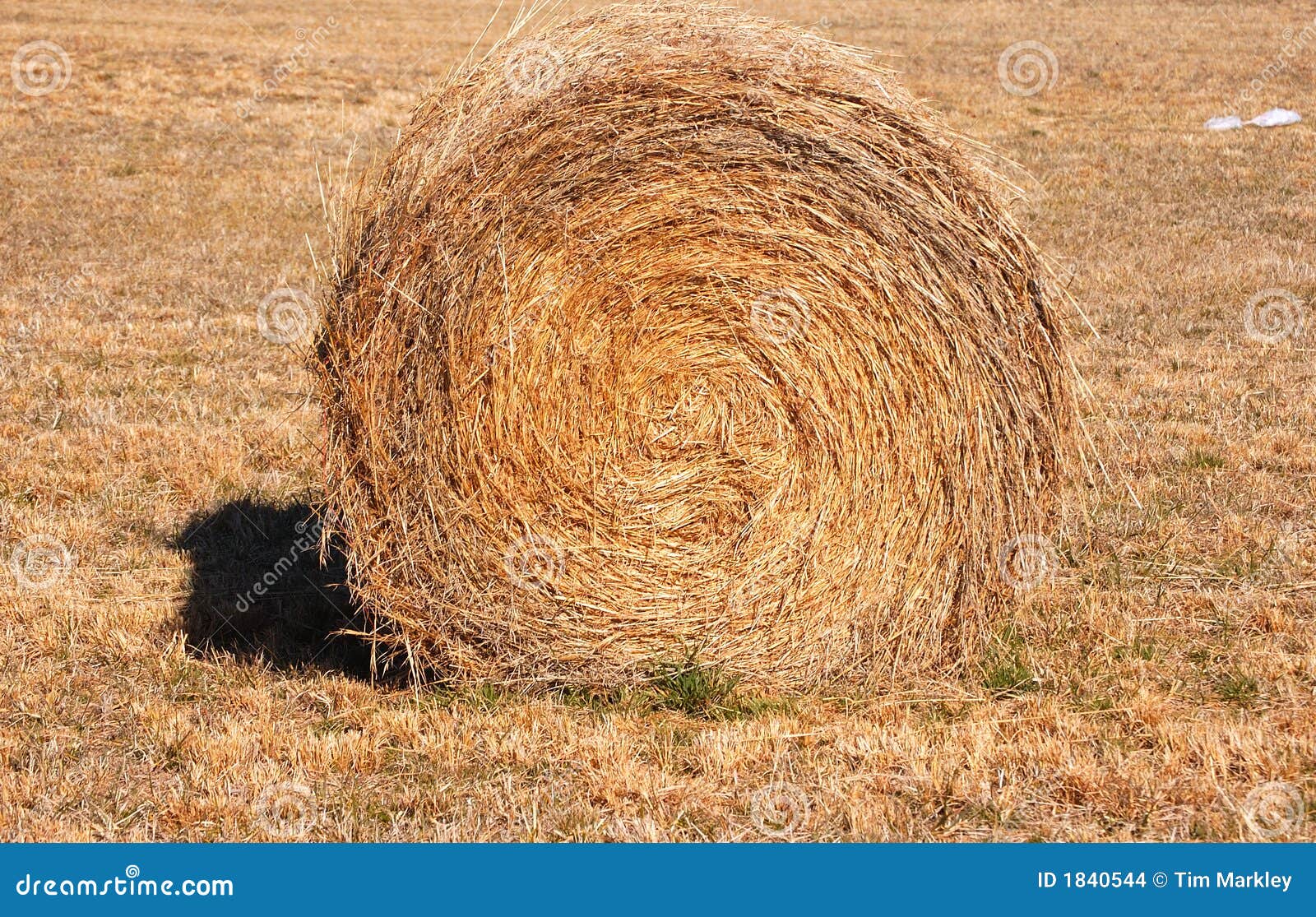 Rolo do feno foto de stock. Imagem de fazenda, campo, norte - 1840544