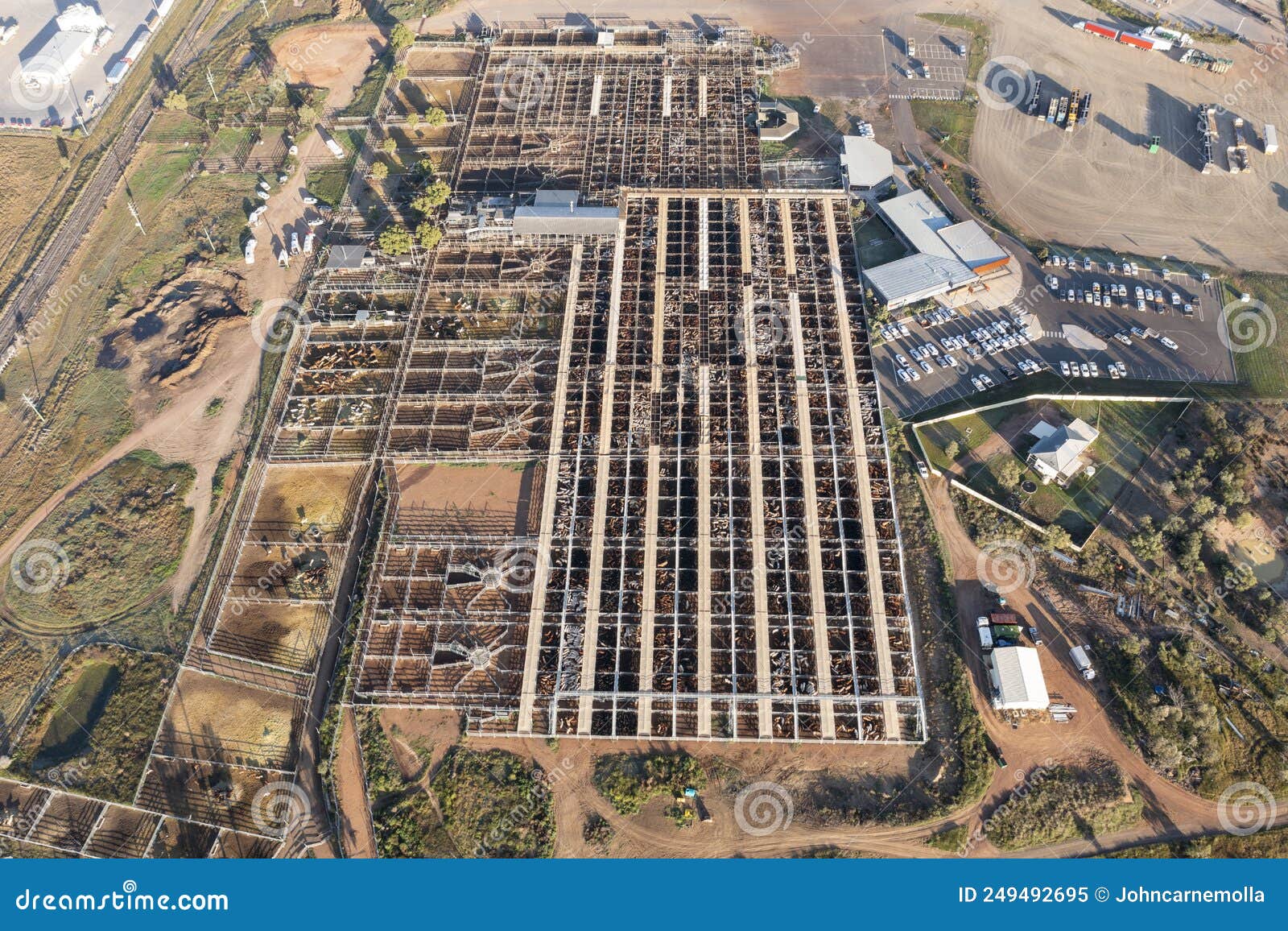 Roma cattle saleyards stock image. Image of catte, rural - 249492695