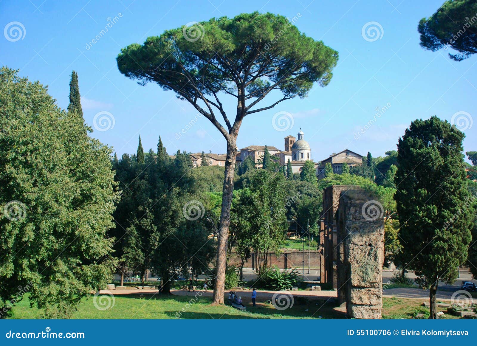 Roma, Palatine pino foto de archivo. Imagen de europa - 55100706