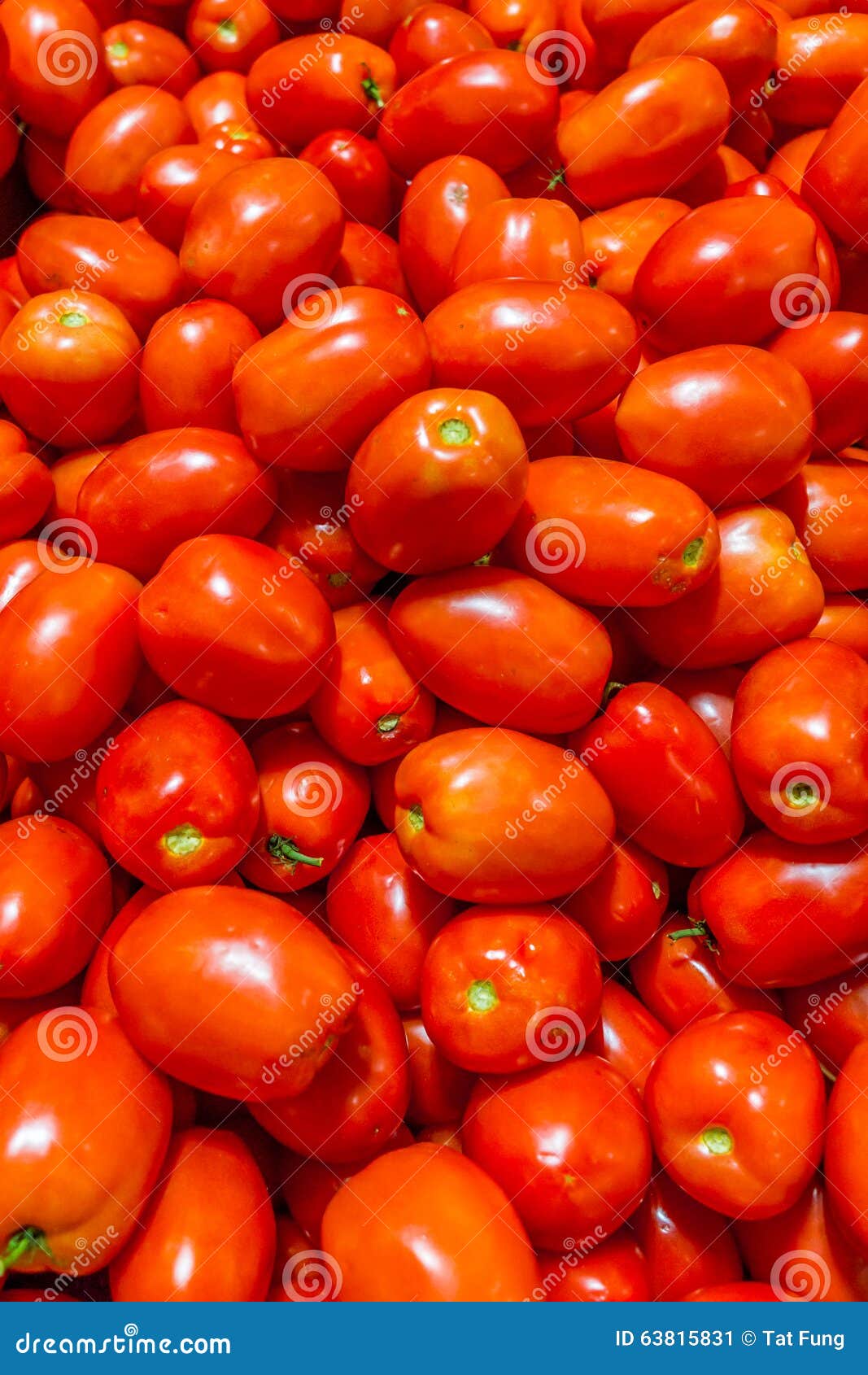 Roma Tomato stock image. Image of concepts, plum, agriculture - 63815831