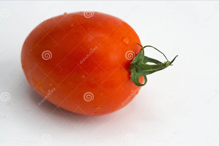 Roma Tomatoe stock photo. Image of tommy, tomato, organic - 20758