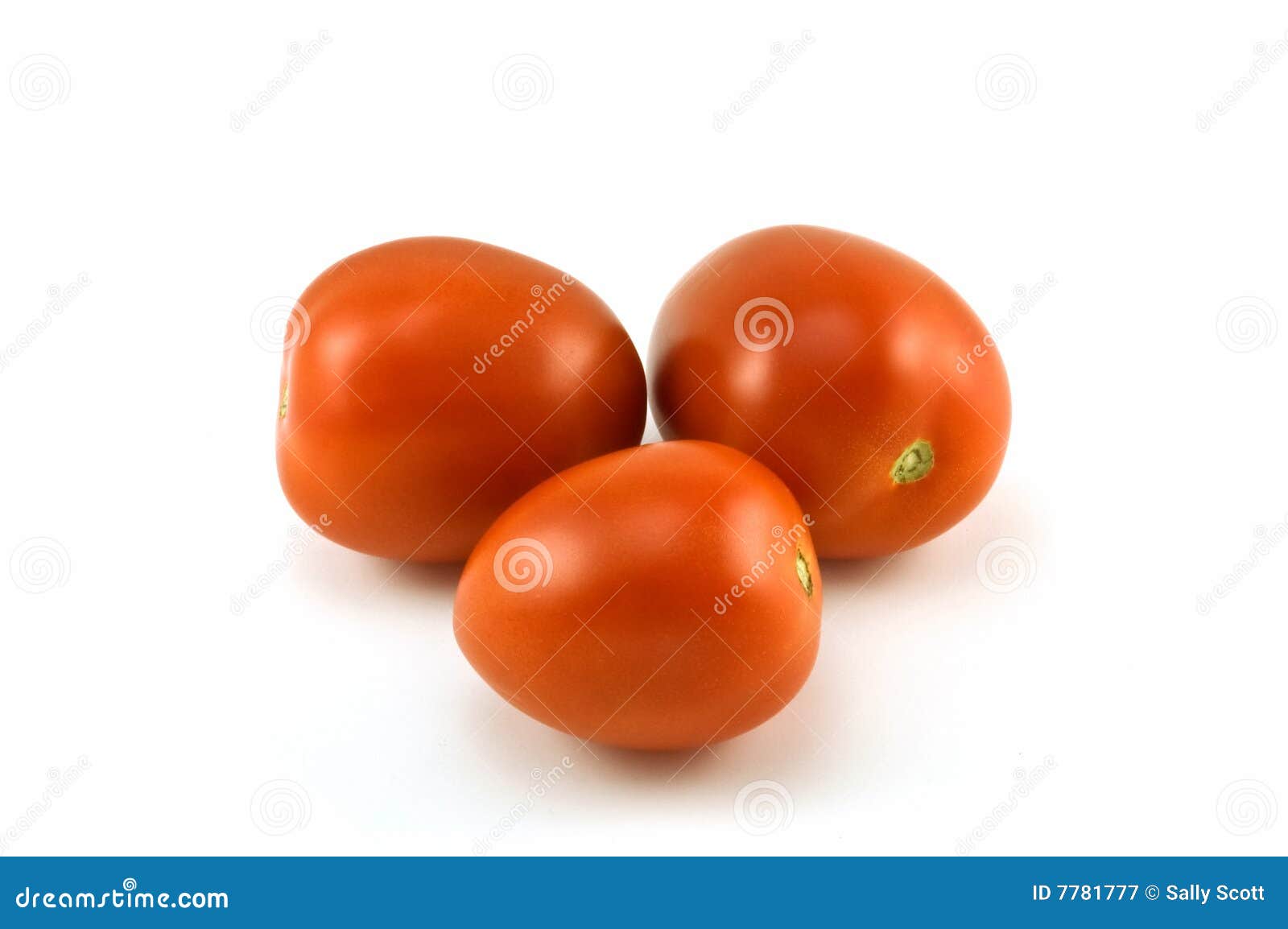 Roma tomatoes stock image. Image of vegetable, tomatoes - 7781777