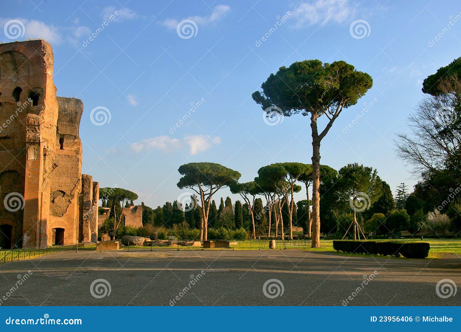 Roman Pines, Park, Summertime, Blue Sky, Green Grass Royalty-Free Stock ...