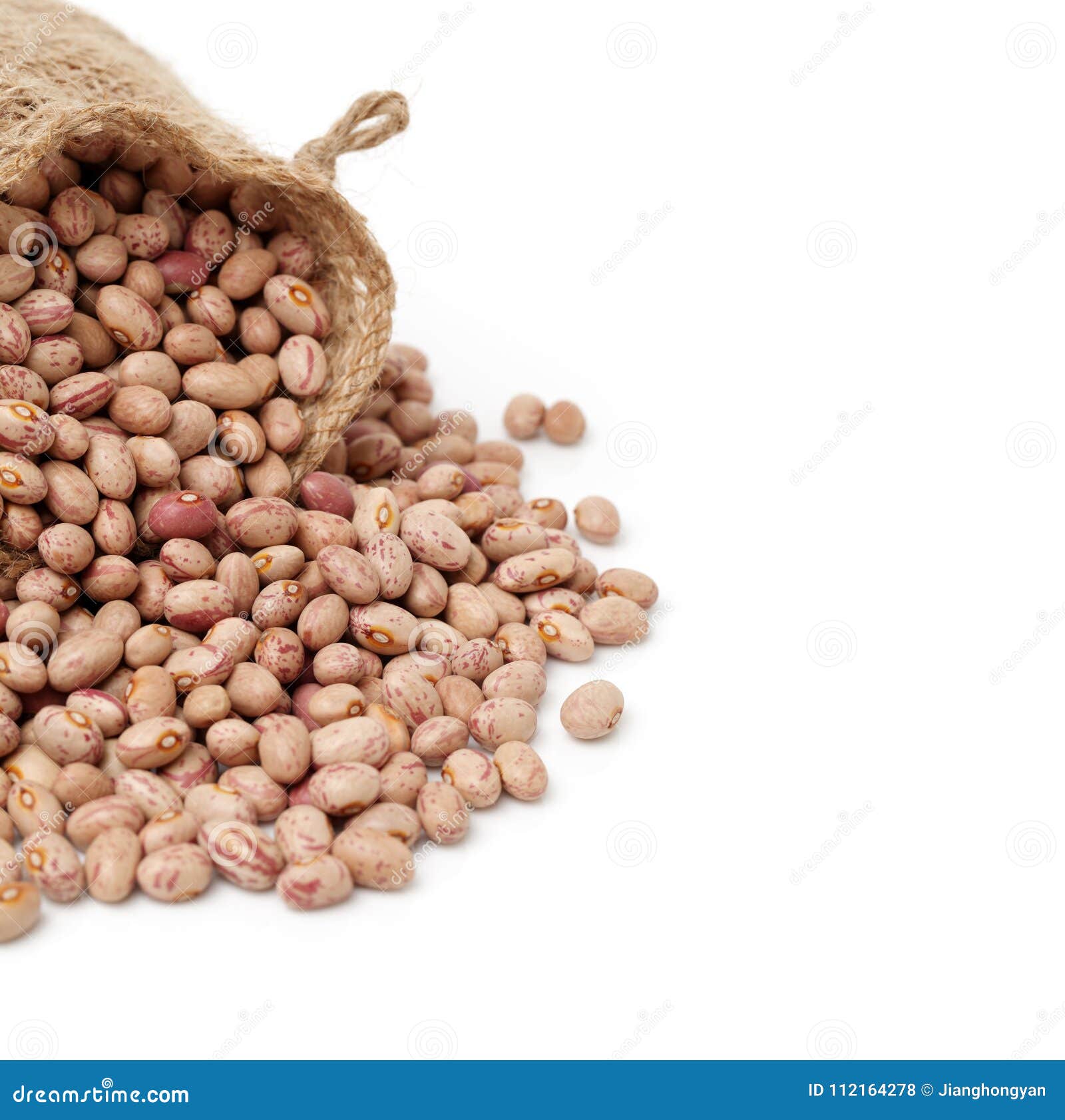 Roman bean stock photo. Image of eating, protein, white - 112164278